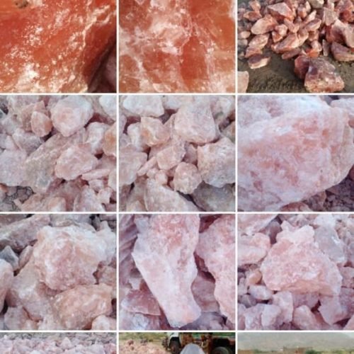 Gondal Salt Company